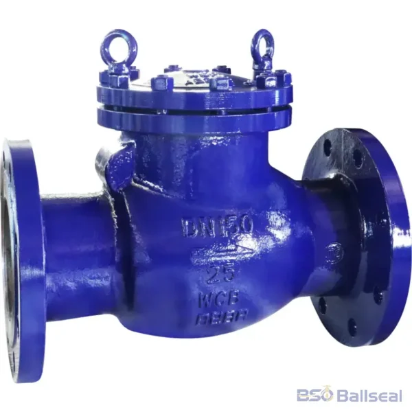 DN150 PN25 WCB Swing Check Valve | Flanged EN 14341 | BSO